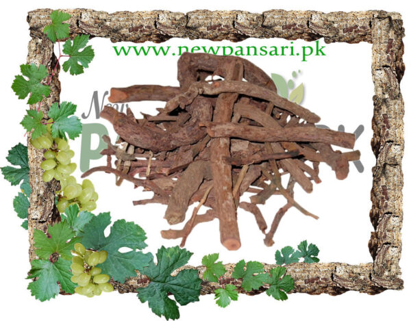 Alkanet Root || Majeeth مجیٹھ Alkanna tinctoria 100% Pure - New Pansari