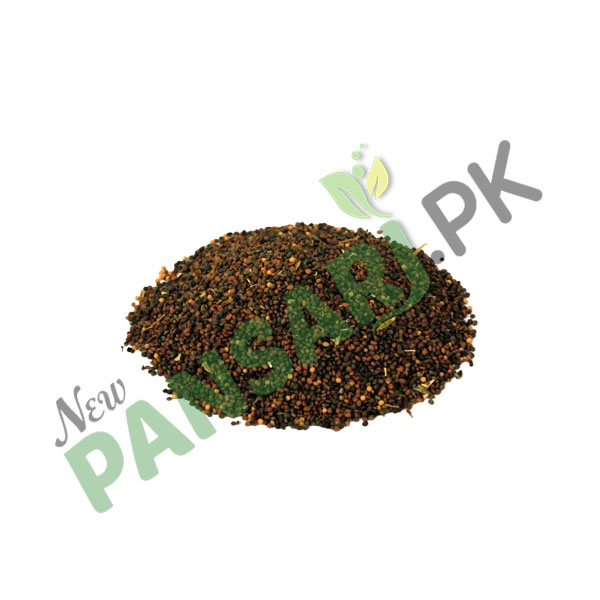 Arugula Seeds (Tukhm-e-Tara Mera) - New Pansari