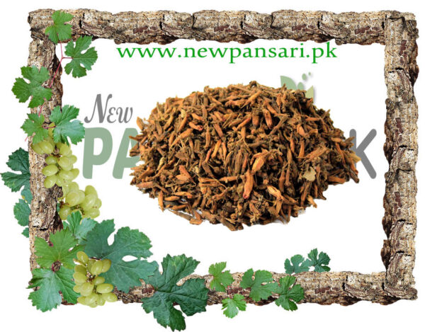 Crown Flower (Gul Madar) - New Pansari