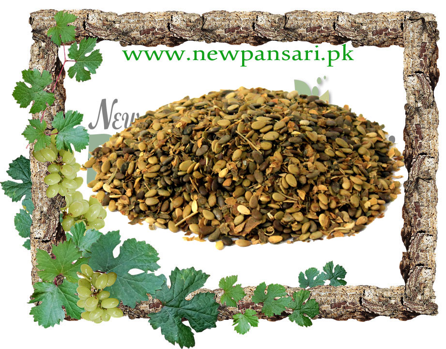 Bitter Apple Seeds (Tukhm-e-Hanzal) Tuma seeds - New Pansari
