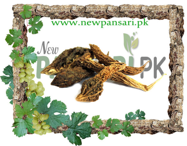 Bitter Gourd Dry (Karela Khushk) Karala - New Pansari