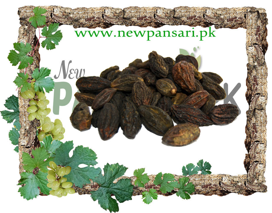 Black Chebulic Myrobalan (Chotti Harr) - New Pansari