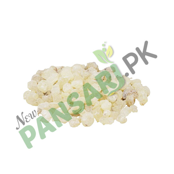 Black Dammar (Chandras) - New Pansari