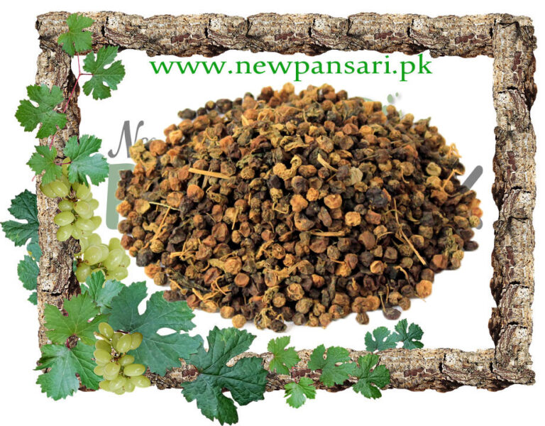 Black Nightshade (Makoh Khushk) - New Pansari