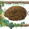 Chicory Seeds (Tukhm-e-Kasni) - New Pansari