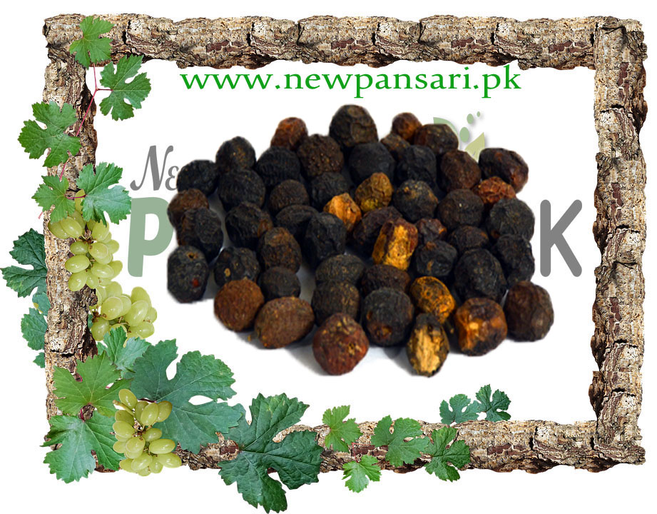 Chinaberry (Bakain) - New Pansari