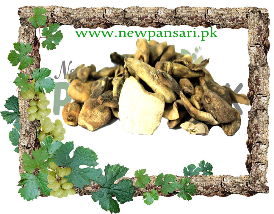 Colchicum (Suranjan-e-Shireen) - New Pansari