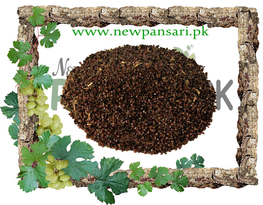 Country Mallow (Beejband Siyah) - New Pansari