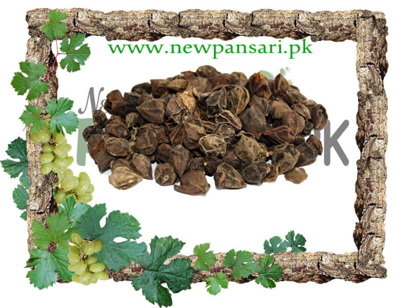 Dried Assyrian Plum (Sapistan Khushk, Lasoora) - New Pansari