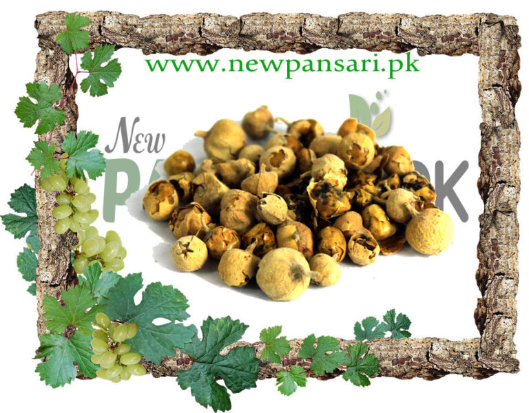 Dunal Seeds (Tukhm-e-Hayat) - New Pansari