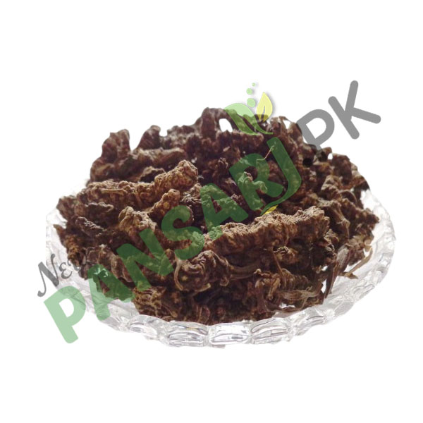 Indian Valerian (Mushk Bala) - New Pansari