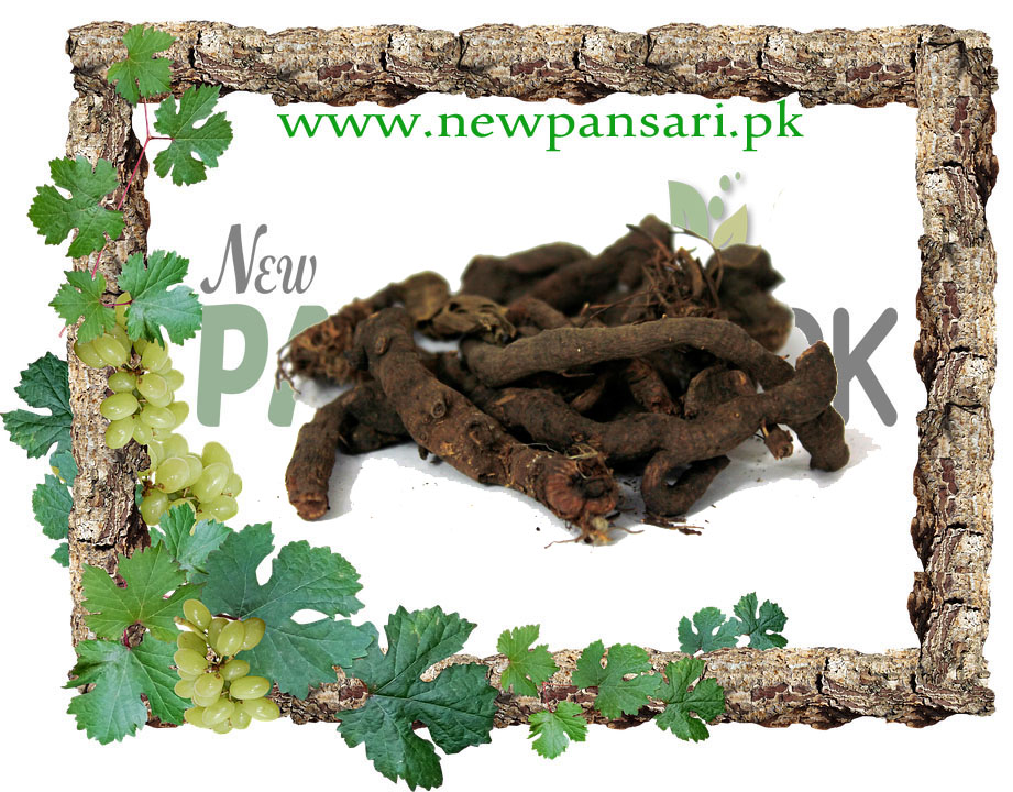 Knotgrass (Anjbar) - New Pansari