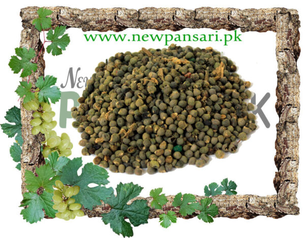 Lady's Finger Seeds (Tukhm-e-Bhindi) - New Pansari