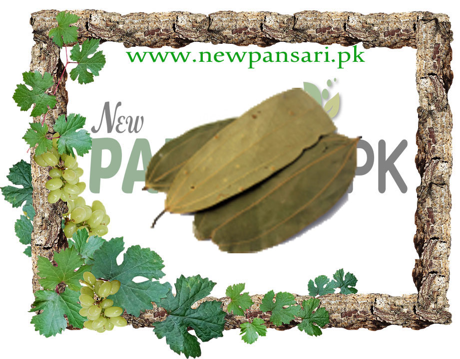 Bay Leaf (Tez Paat, Tez Patta) - New Pansari