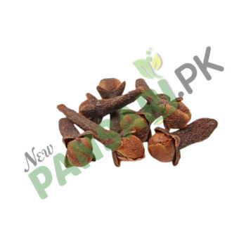 Clove (Long) - New Pansari