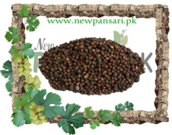 Cubeb (Kabab Cheeni) sard chini - New Pansari