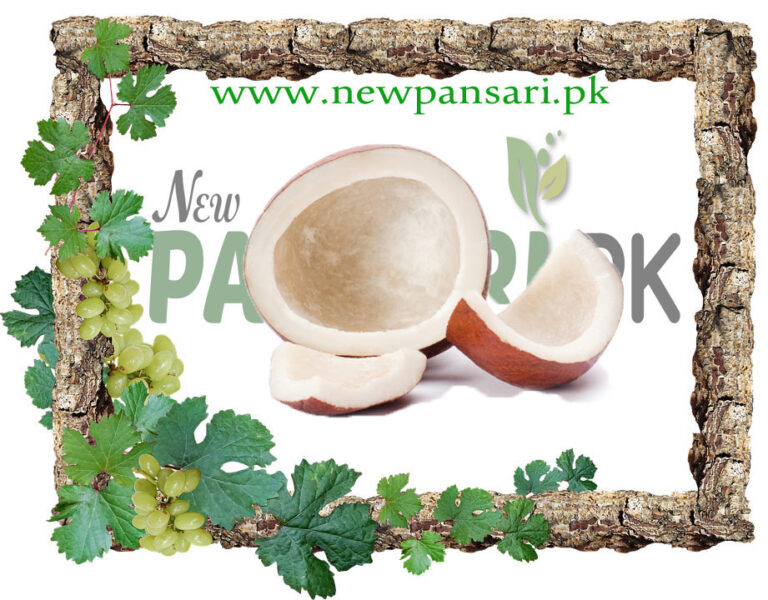 Dried Coconut (Khopra, Khushk Naryal) - New Pansari