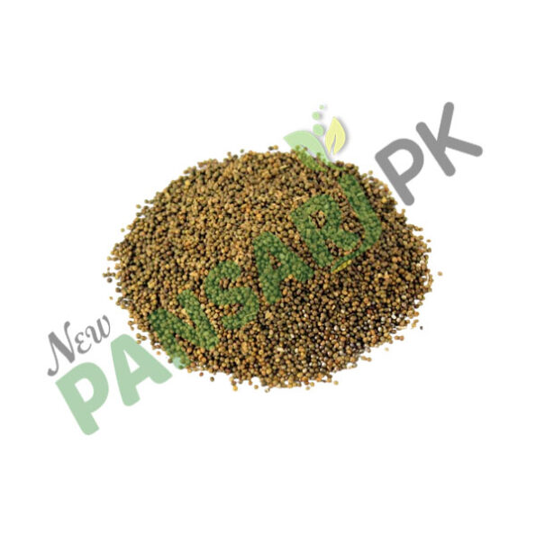 Onion Seeds (Tukhm-e-Piyaz) - New Pansari