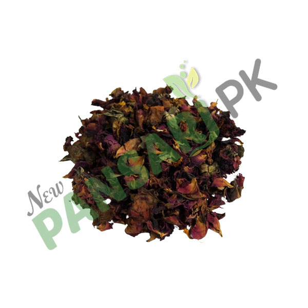 Rose Flower (Gul-e-Surkh, Gulab Ka Phool) - New Pansari