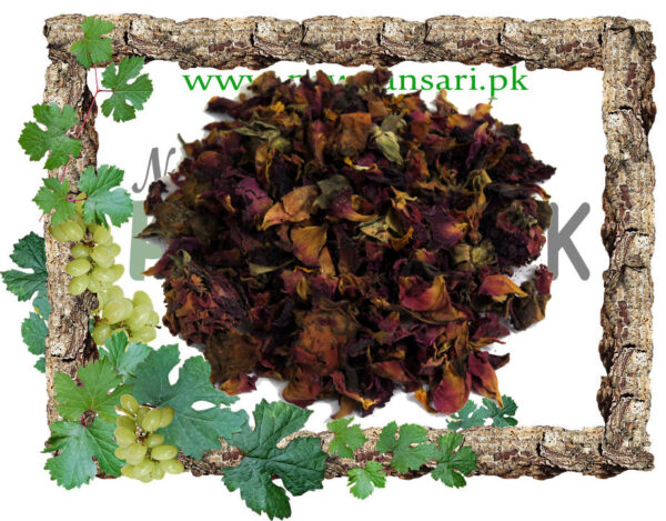 Rose Flower (Gul-e-Surkh, Gulab Ka Phool) - New Pansari