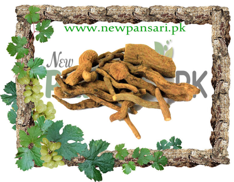 Snake Root (Asrol) - New Pansari