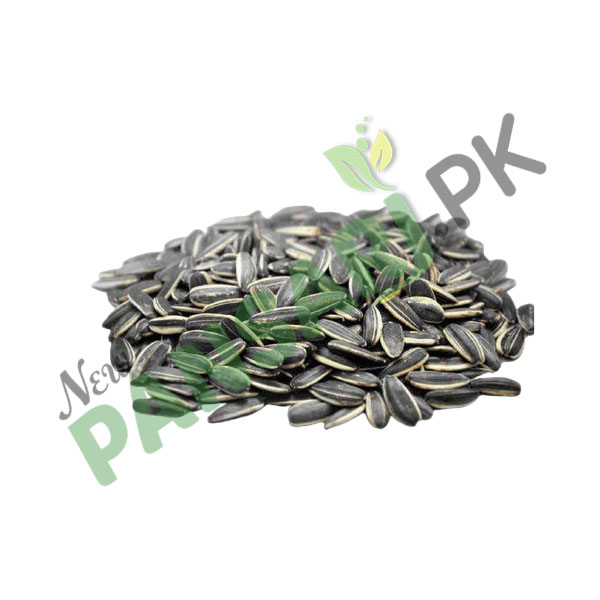 Sunflower Seeds (Tukhm-e-Suraj Mukhi) - New Pansari