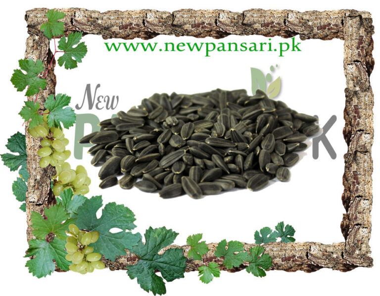 Sunflower Seeds (Tukhm-e-Suraj Mukhi) - New Pansari
