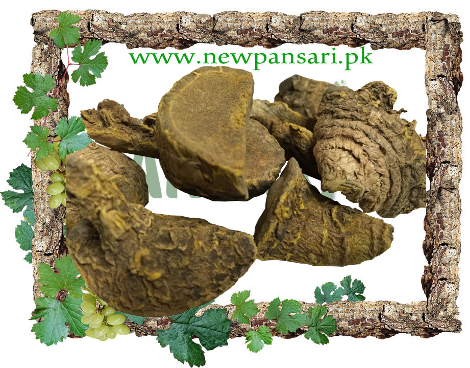 Wild Turmeric (Amba Haldi) - New Pansari