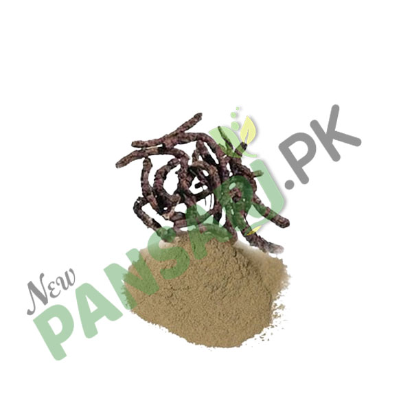 Kutki Powder – Kor Powder, Kor india Powder - New Pansari