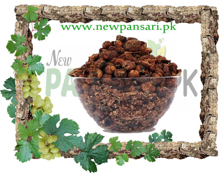 Dried Banyan Tree Seed Aalam Vithai Ficus Benghalensis - New Pansari
