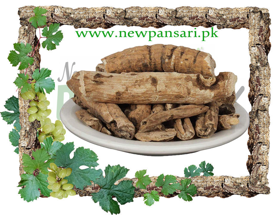 Nishoth Safed - Nishod White - Turbad - Turpethum - Indian Jalap - New ...