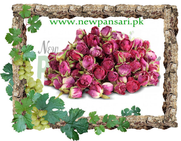 Rose Flower Irani ( Gul-e-Surkh Irani, Gulab Ka Phool irani) - New Pansari