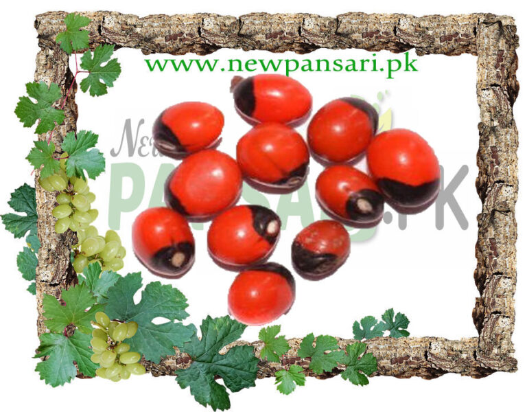 New Pansari Pakistan First Premium Herbal Store , Online Pansar Store