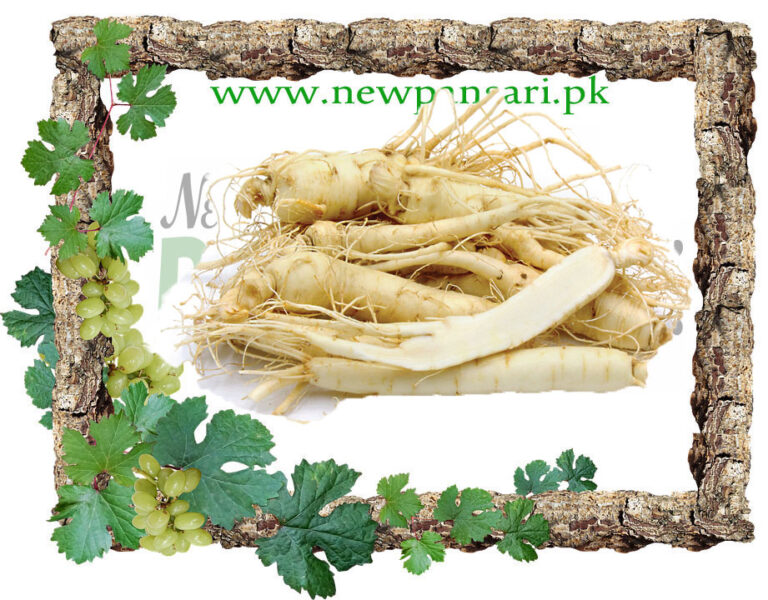 Organic white ginseng root , Panax ginseng root - New Pansari