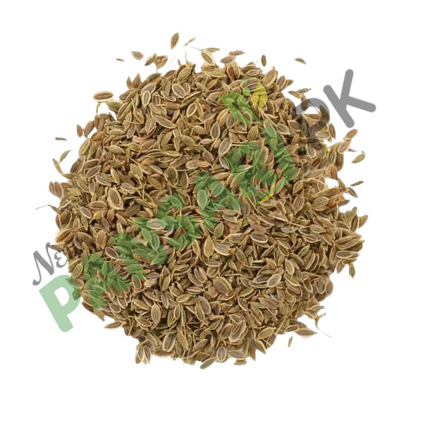 soya herb Dill Seeds - Tukhm -e- Soya Tukhme Shibbat - New Pansari