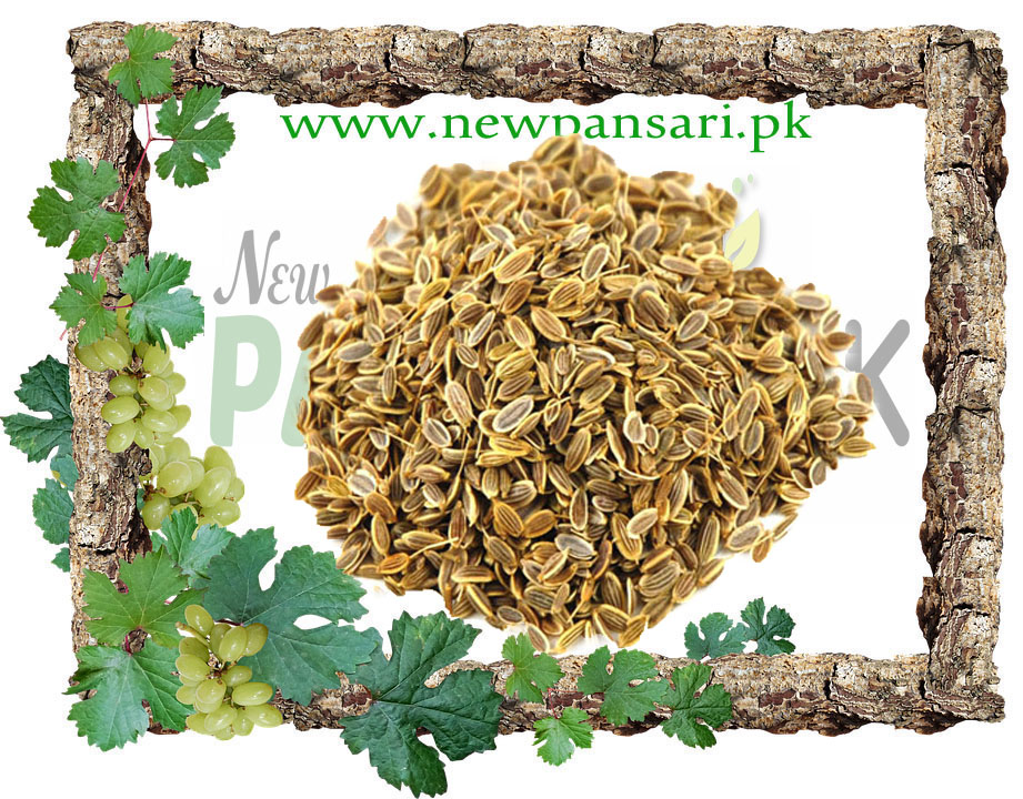 soya herb Dill Seeds - Tukhm -e- Soya Tukhme Shibbat - New Pansari